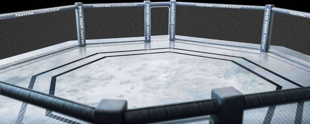 Most Frequently Asked Questions About UFC: Guide to Basics - Elite Sports