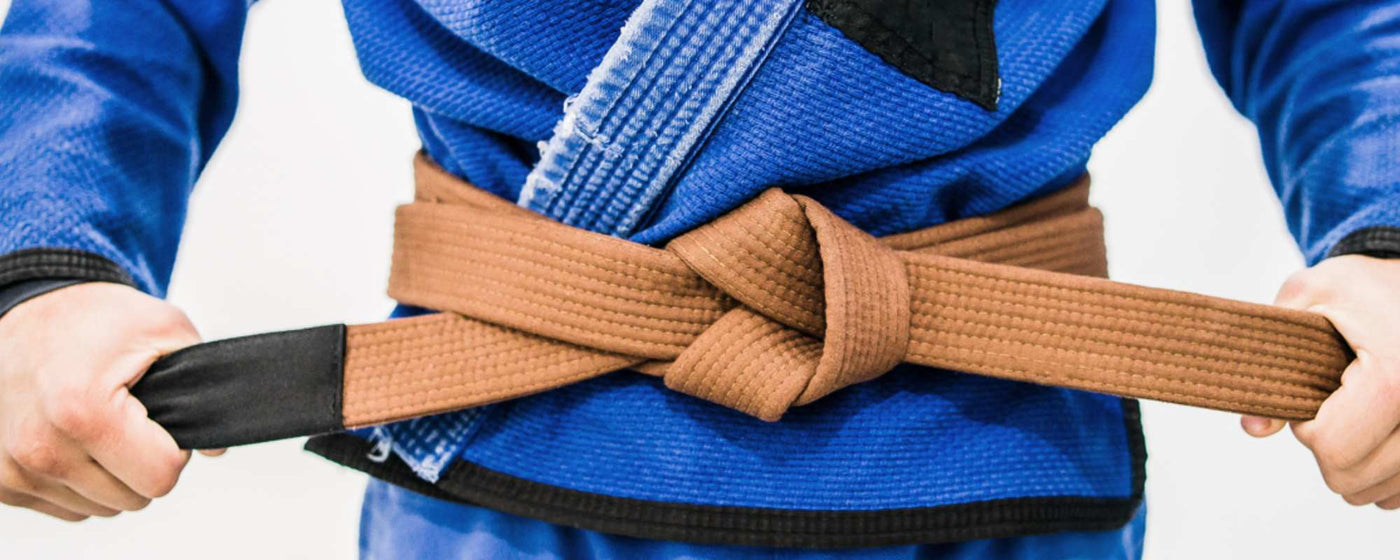 Understanding the Brazilian Jiu Jitsu Style Deeply
