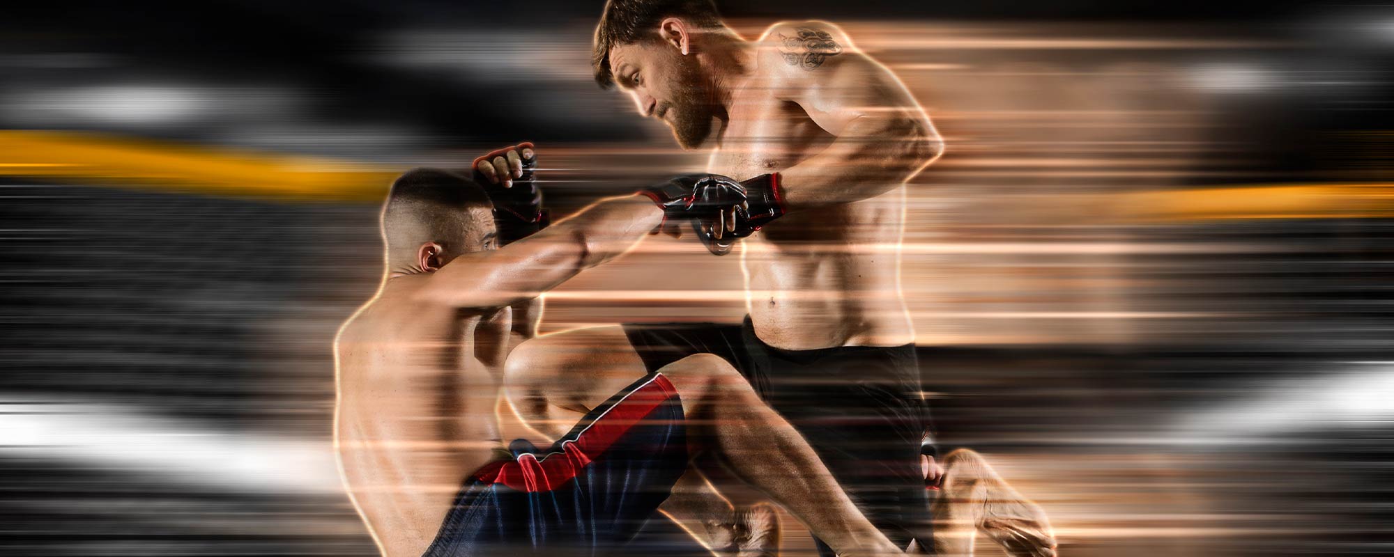 What Are The Best Signature Moves in the UFC?